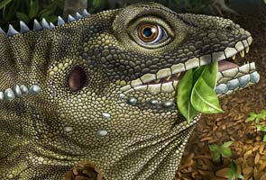 Giant lizard named after legendary rockstar Jim Morrison | Awani ...