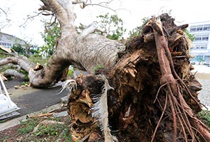 Tree wrests life of two policemen at Kampung Attap | Awani International