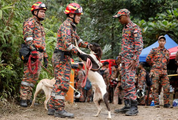 Batang Kali landslide: First responder shares first-hand account of ...