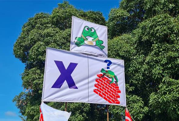 Frogs colony or frogs loyalty? - Azalina | Awani International