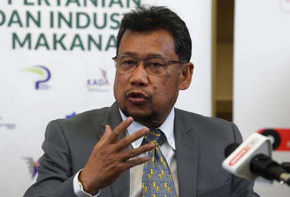Che Lah sah calon BN di Tumpat | Awani