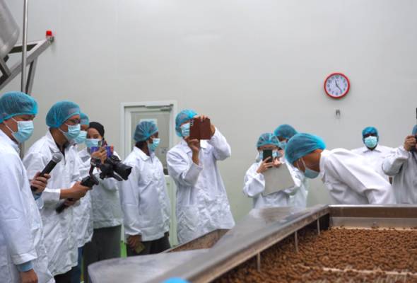 Tealive sasar tingkatkan pengeluaran mutiara ubi kayu hingga 300 tan ...
