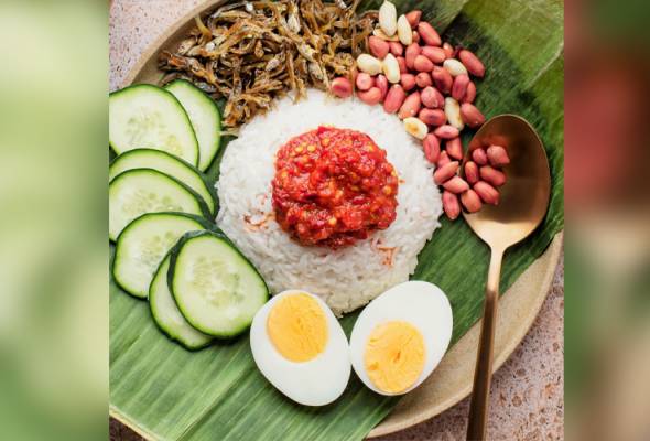 Nasi lemak - A multi-ethnic palate pleaser and money earner for micro ...