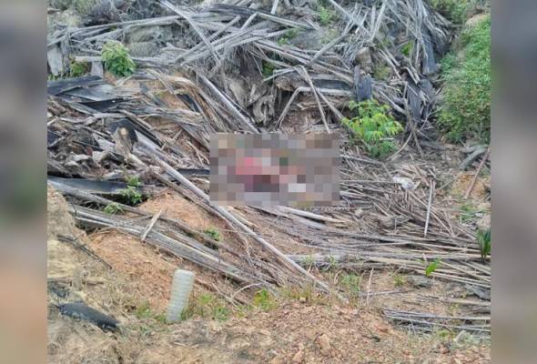Lelaki warga asing dibunuh rakan senegara dalam pergaduhan | Awani