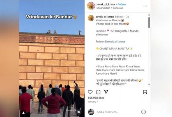 Monyet curi iPhone 'tawar' sistem barter | Awani