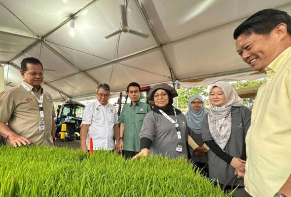 BERNAS pamer kelainan di Laman Padi MAHA 2024 kali Ini | Awani