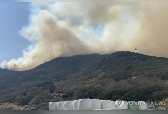 South Korea's Hadong wildfire brought under control on second day ...