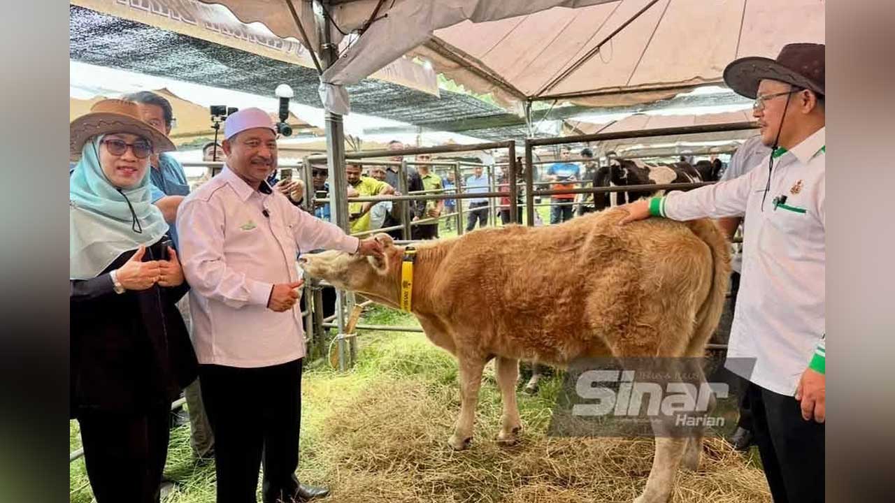 'Marconah' curi tumpuan di HPPNK 2025 | Awani