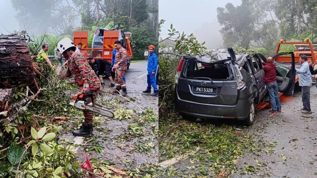 Pokok tumbang hempap kereta, dua terselamat | Awani