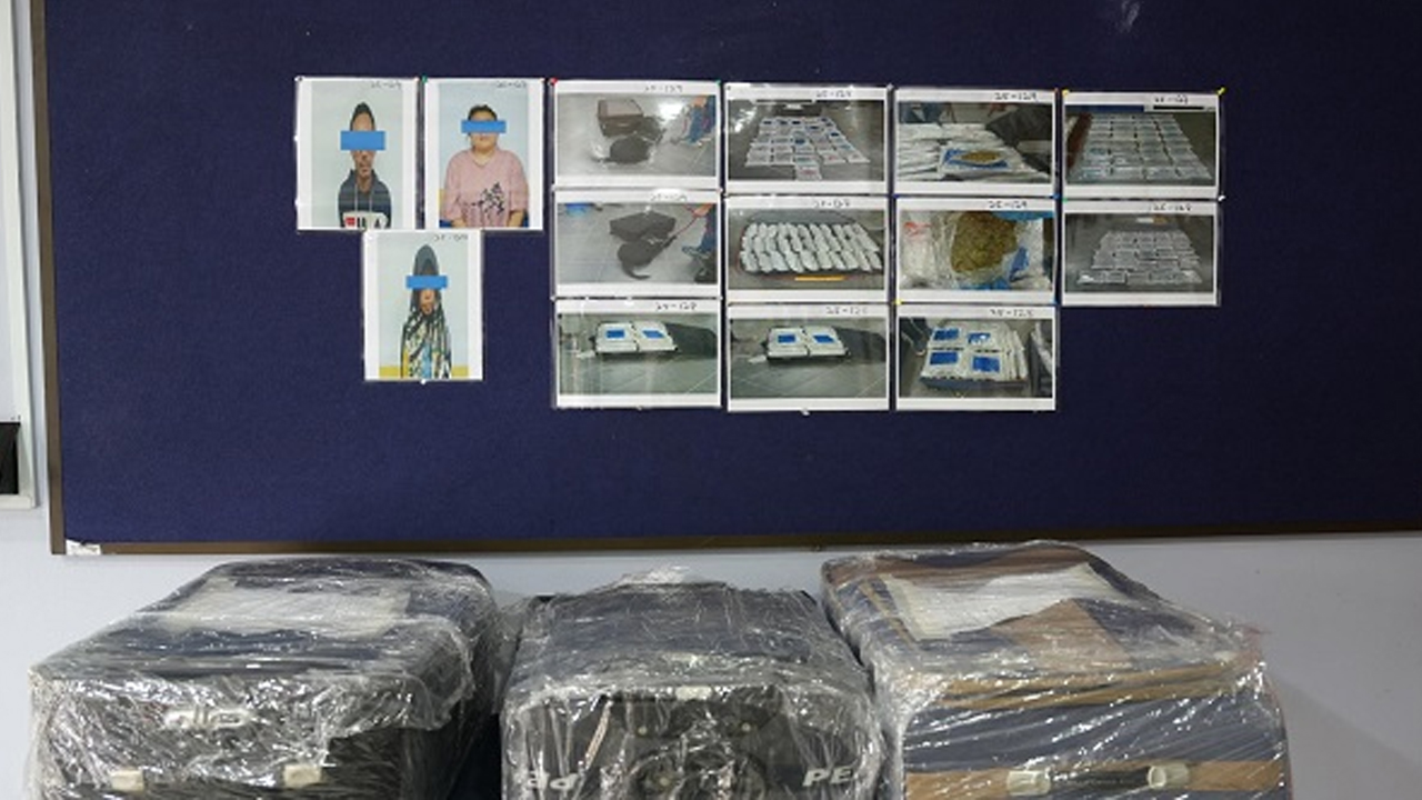 Kastam Kelantan rampas bunga ganja bernilai lebih RM10 juta di Rantau ...