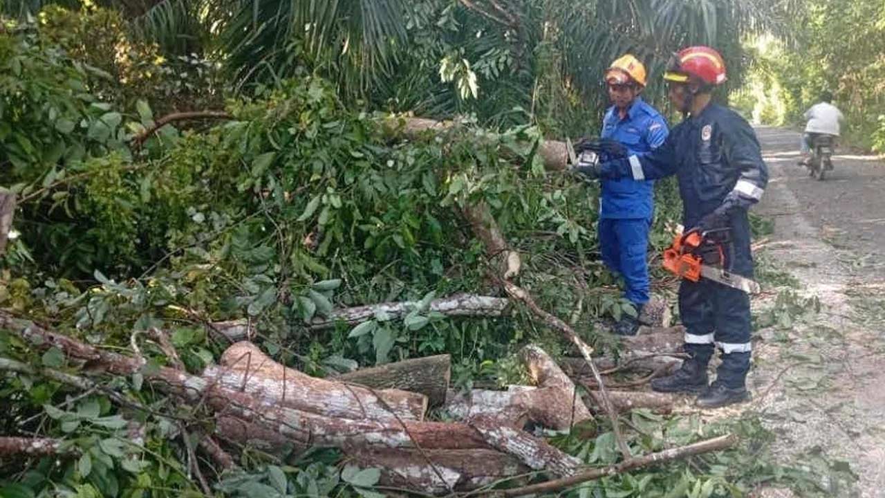 10 daerah di Kedah dilanda ribut malam tadi | Awani