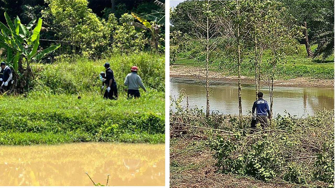 2,000 pokok ketum ditanam atas tanah rizab kerajaan dimusnah | Awani