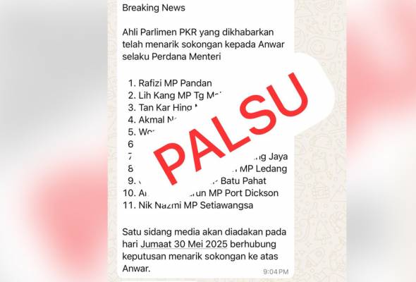 Chang Lih Kang, Tan Kar Heng nafi tarik sokongan kepada Anwar | Awani