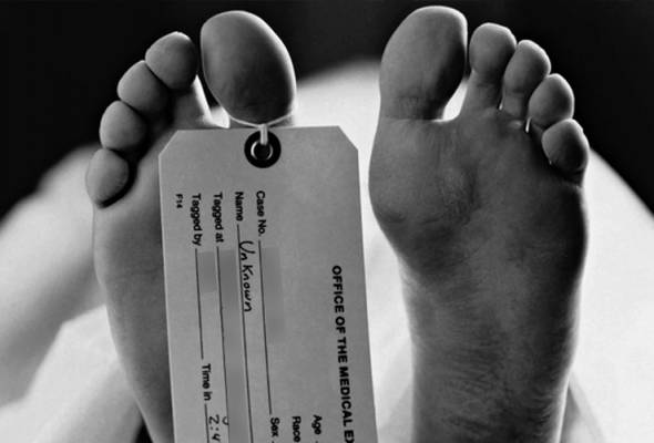 7 maut bas pelancong terbalik di barat Mexico | Awani