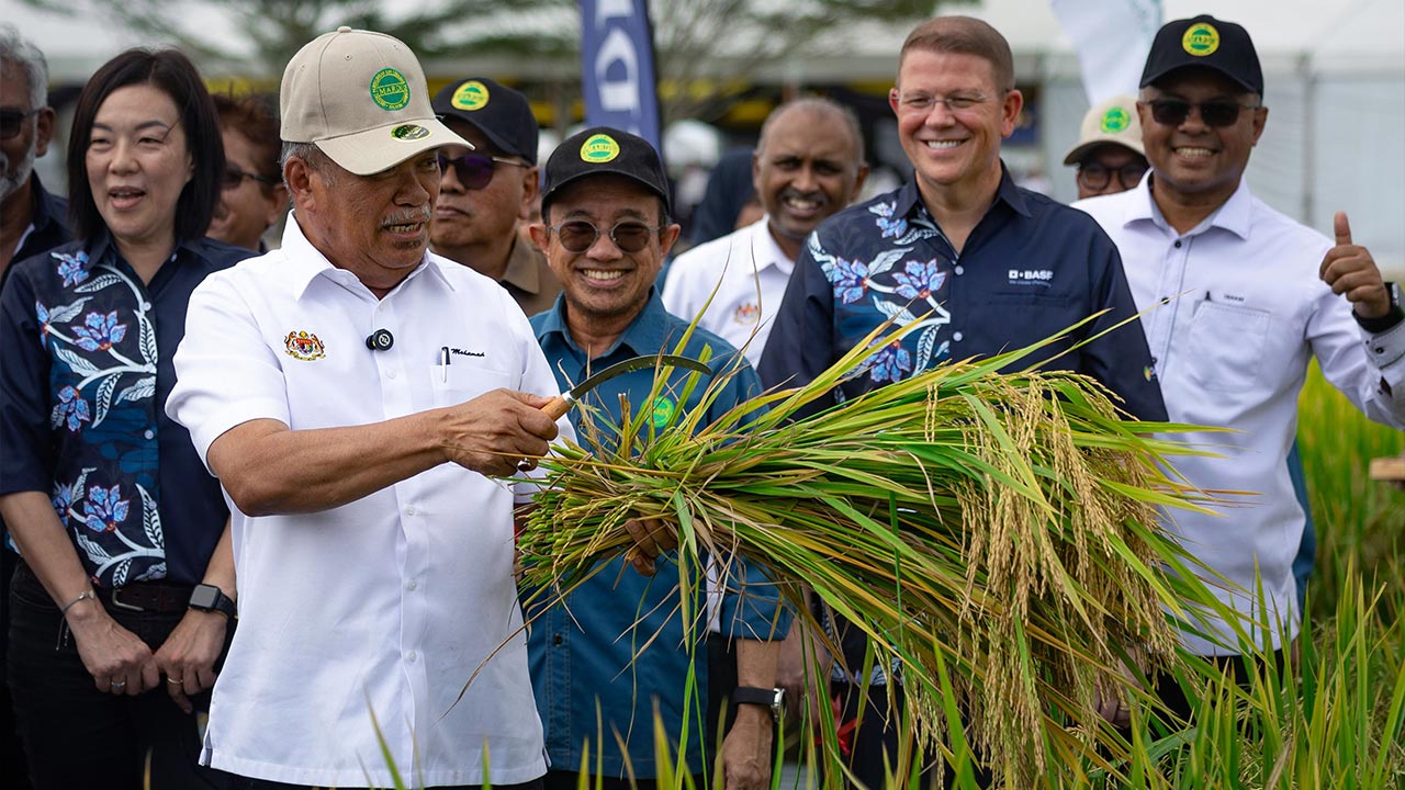 Cadangan naikkan harga beras putih tempatan kepada RM3.60 satu kilogram ...