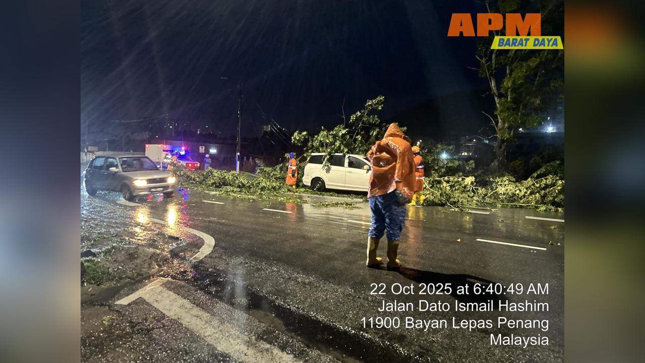 Tujuh kejadian pokok tumbang di Pulau Pinang | Awani