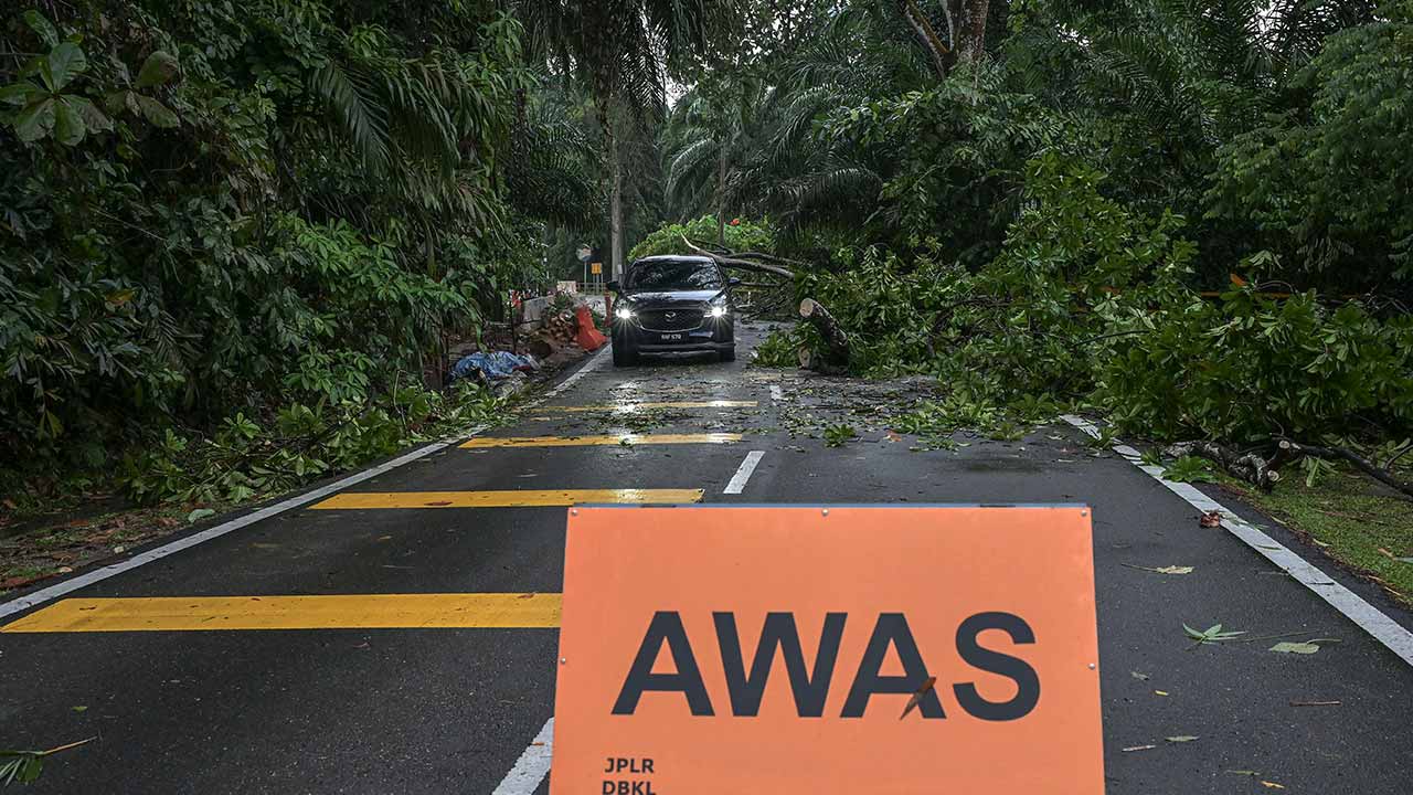 KTMB bertindak pantas atasi insiden pokok tumbang, operasi tren kembali ...