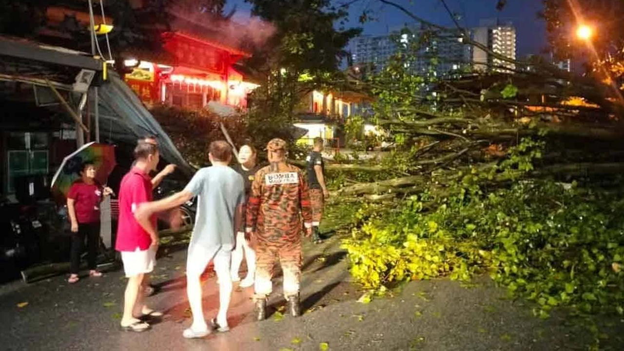 Pokok tumbang hempap lima kenderaan di George Town | Awani