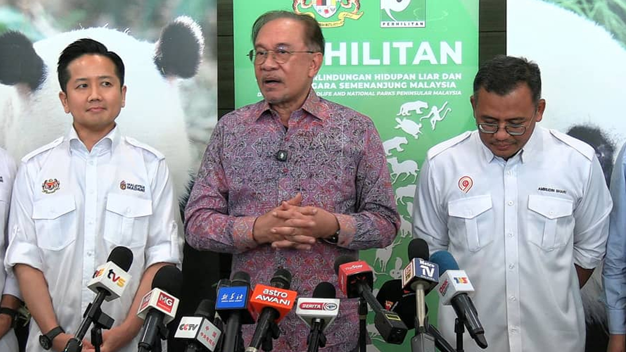 PM Anwar umum peruntukan tambahan RM5 juta untuk Zoo Negara | Awani