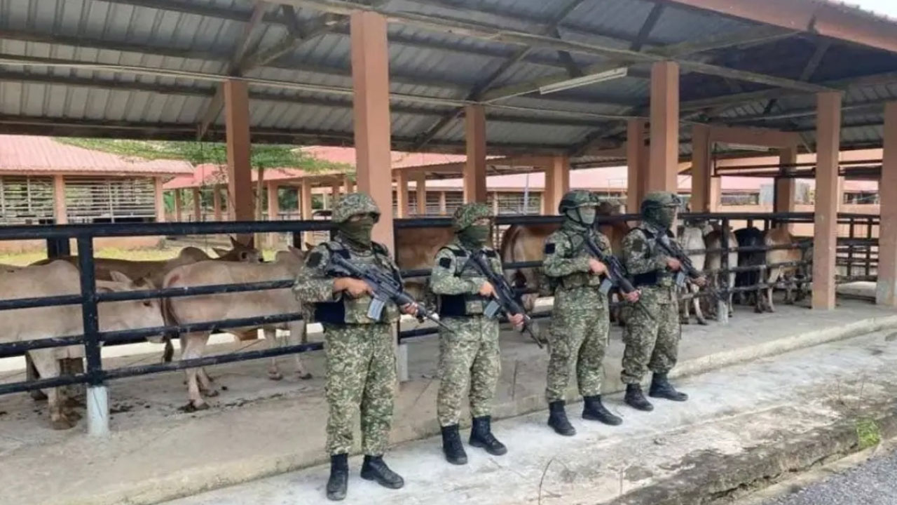 Cubaan seludup masuk 32 ekor lembu berjaya dipatahkan di sempadan ...