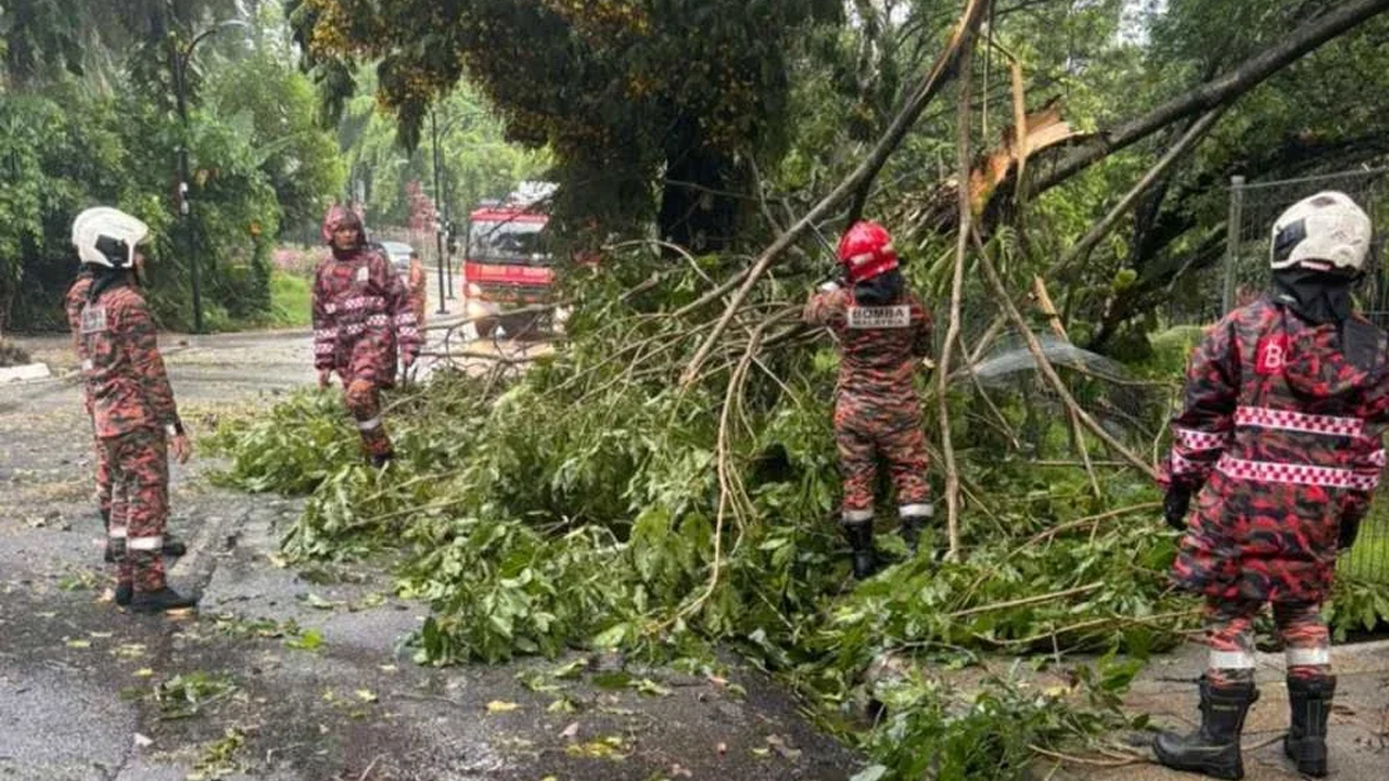 Ribut petir: Pokok tumbang hempap beberapa kenderaan di ibu negara | Awani