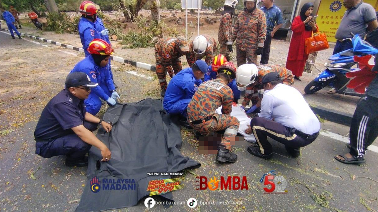Lelaki maut dihempap pokok tumbang di Alor Setar | Awani