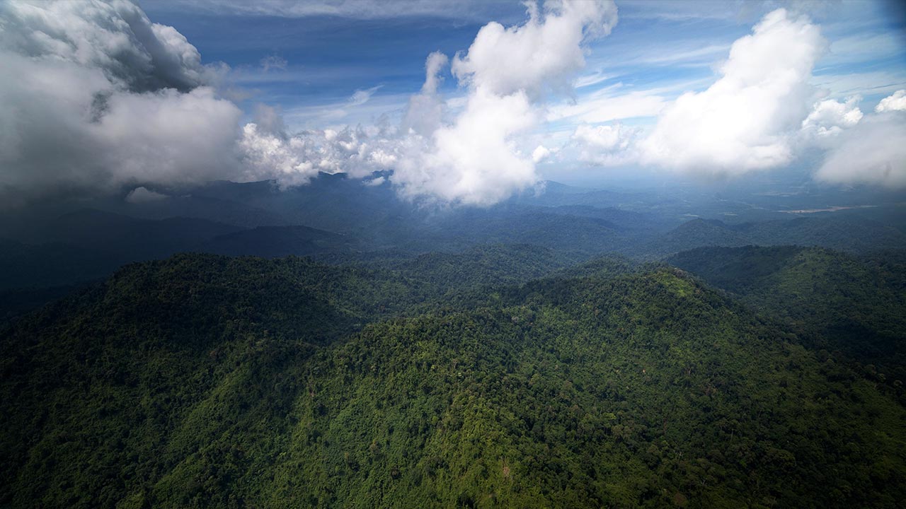 Perak kaji perketat SOP aktiviti pendakian, masuk hutan, tingkat aspek ...